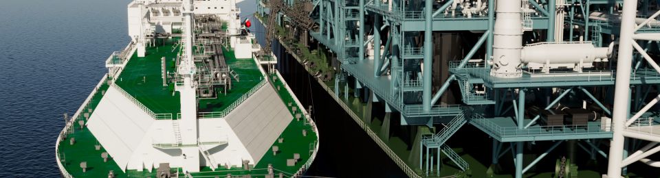 Delfin taps Wison to design FLNG vessels for Deepwater Port
