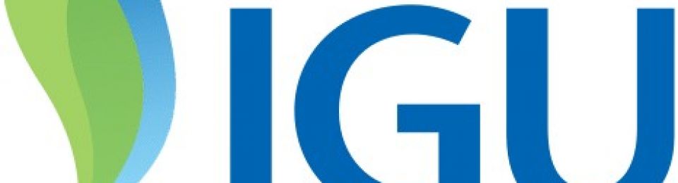 Global gas market remains unstable: IGU [EMBARGOED]