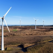 Renewable energy's share on German power grids reaches 55% in 2023