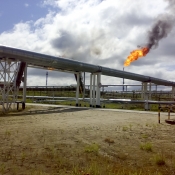 Wood pens $46mn deal with TotalEnergies for Gas Growth Integrated ...