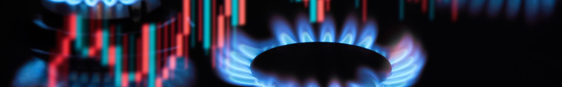French gas consumption to drop 20% by 2030, grid operators say