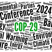 G20 gives a lifeline to COP29 [Global Gas Perspectives]