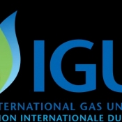 International Gas Union Calls for Clarity on the Role of Market ...