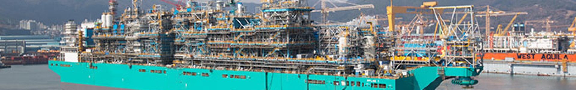 Petronas' FLNG unit to load 1st cargo soon