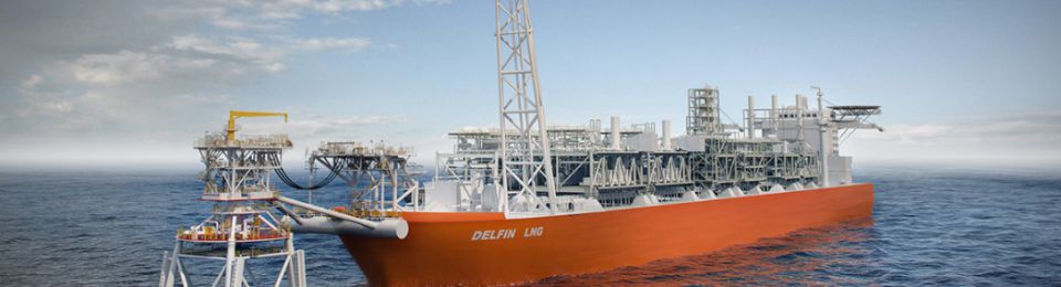 Delfin LNG project gets US DoE export approval