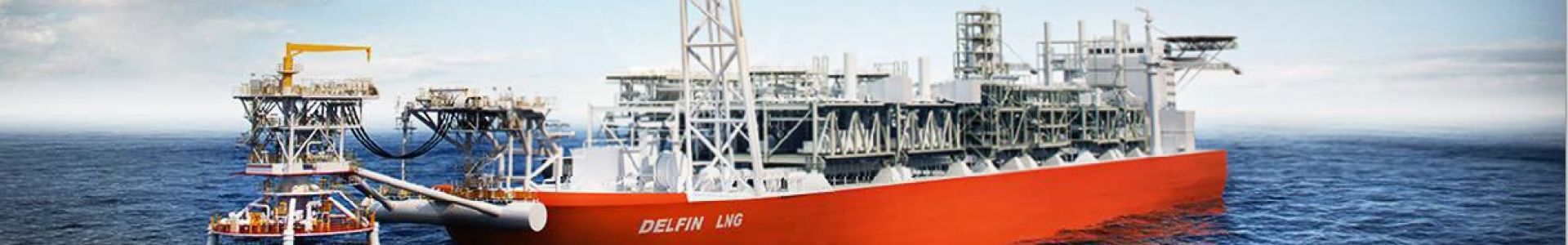 Project Spotlight: Delfin LNG: An Innovative Approach to FLNG [LNG ...