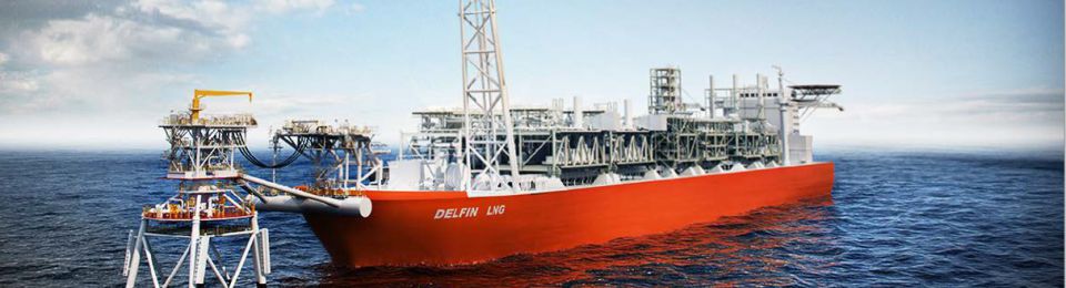 Project Spotlight: Delfin LNG: An Innovative Approach to FLNG [LNG ...