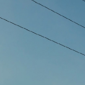 Belarus: falling between two stools [NGW Magazine]