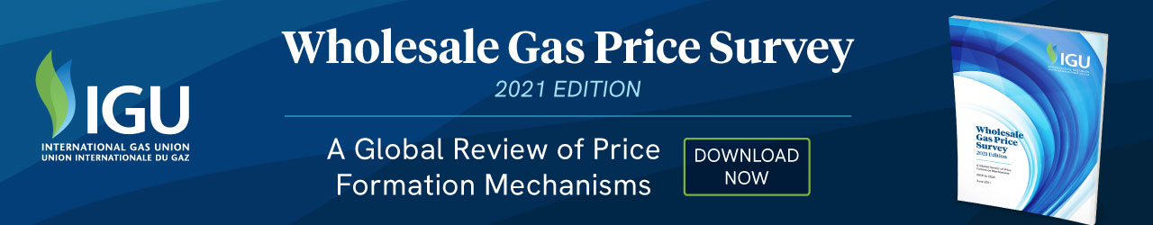 Natural Gas World - Natural Gas & LNG News & Analysis