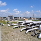 China's Tarim Oilfield's output up 3%