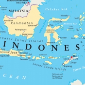 Medco starts Riau gas power plant in Indonesia