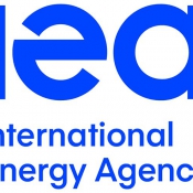 IEA urges energy efficiency to wean markets off Russian gas