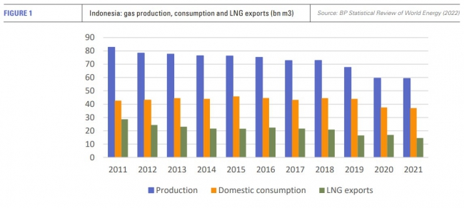 Indonesia: the next big LNG importer? [Gas in Transition]